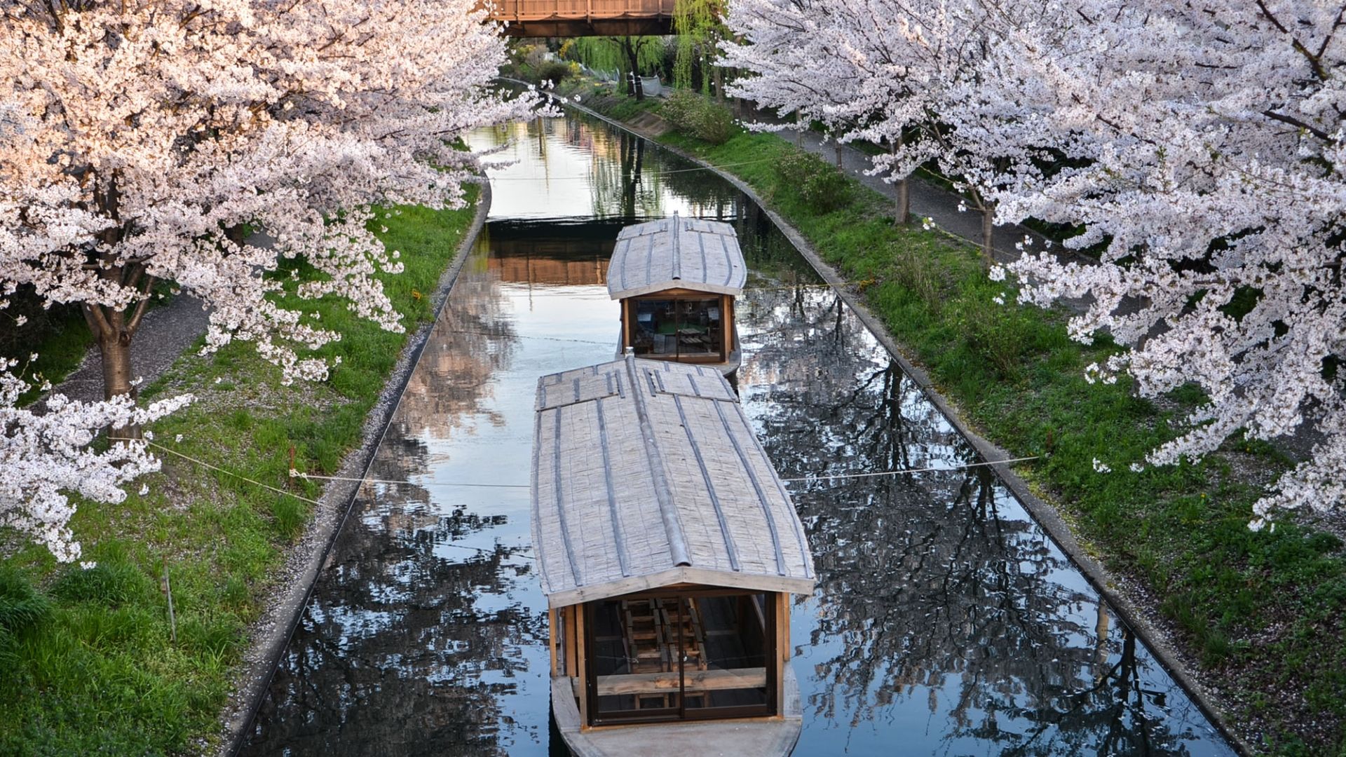 Study Abroad in Kyoto | CIEE