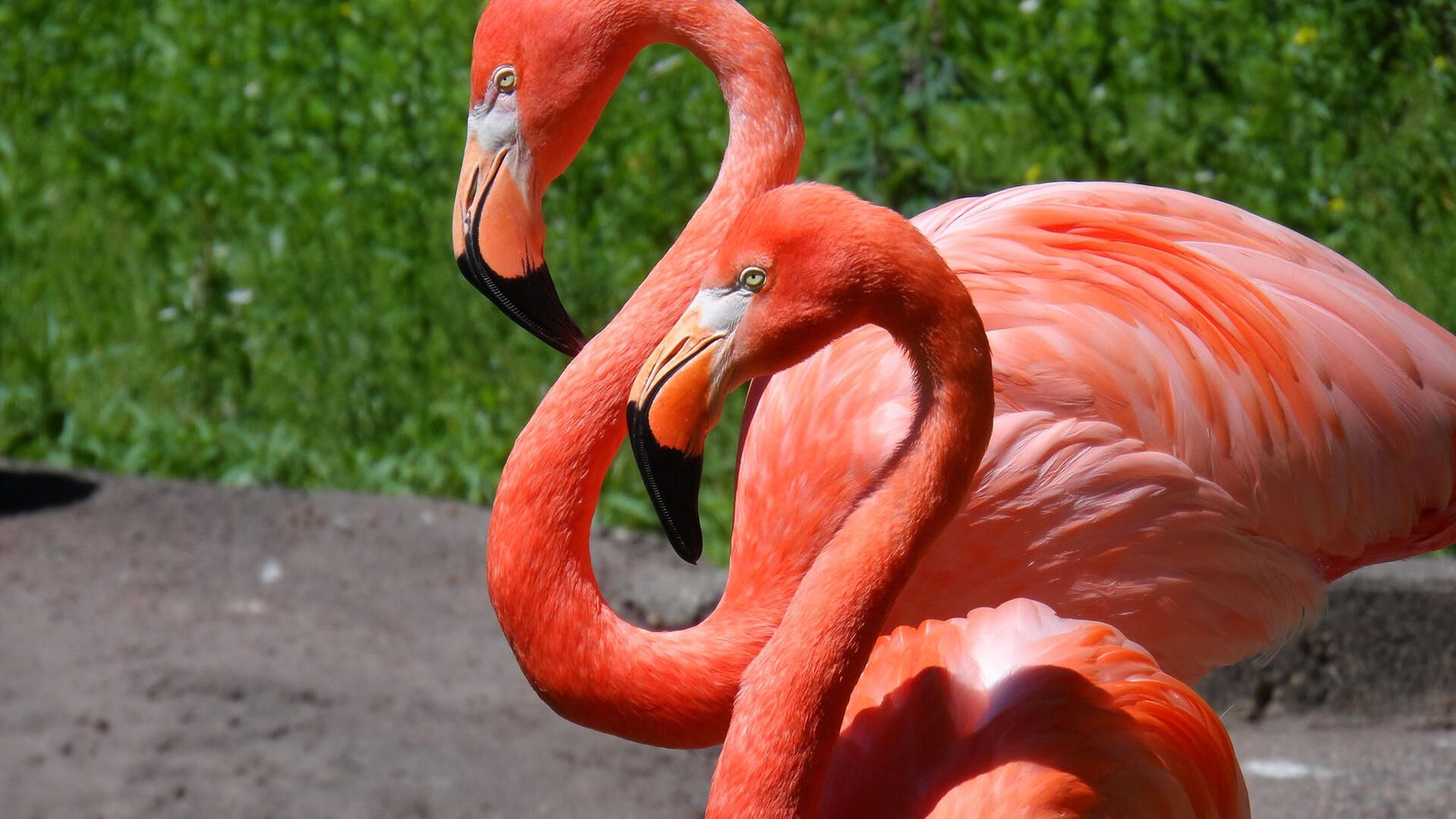 Top Ten Spring Activities in Florida | CIEE
