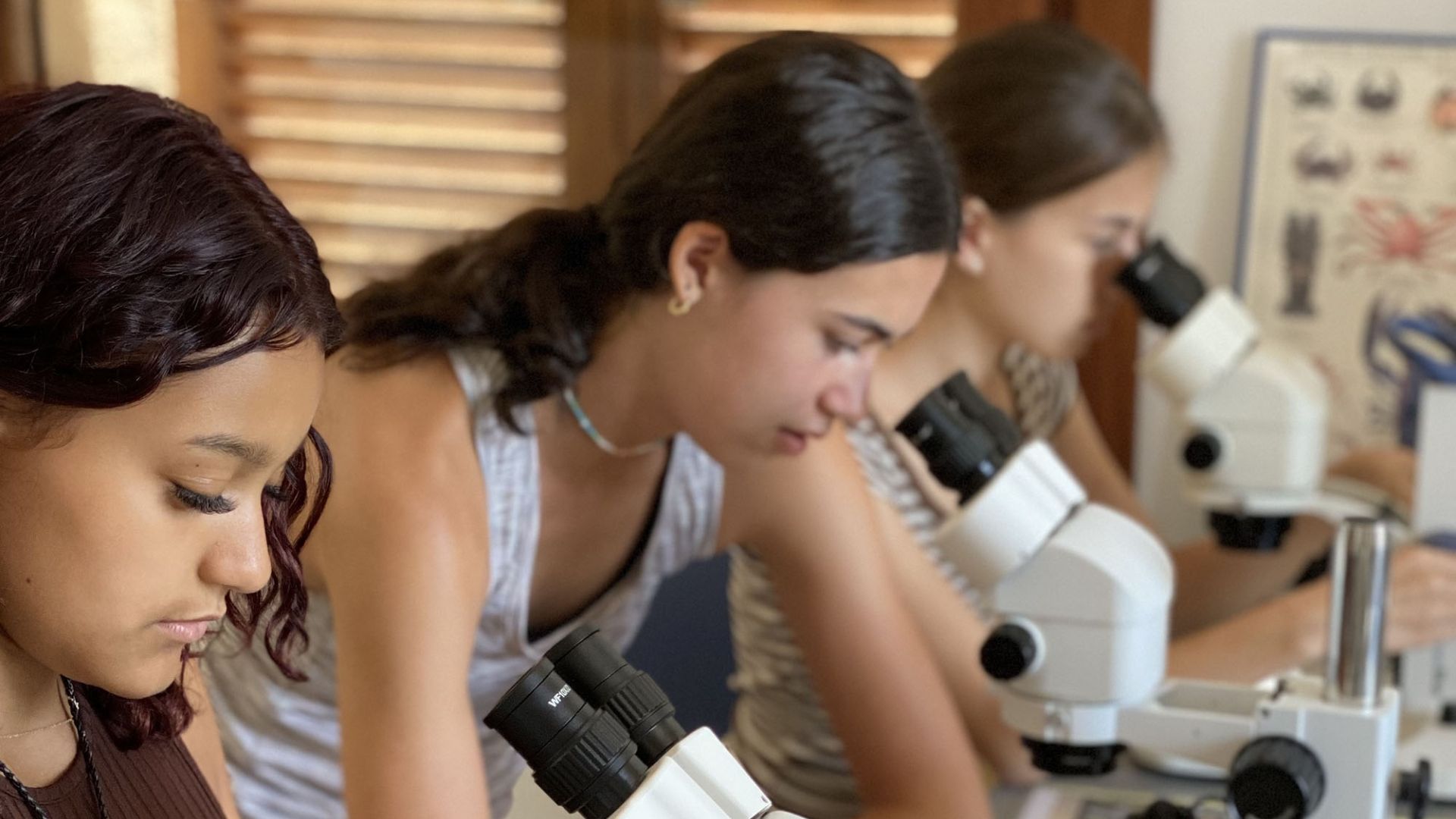 Sustainability + Environmental Studies | CIEE