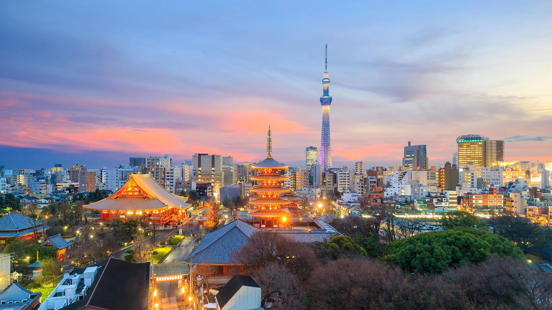 Japanese Language & Culture | Tokyo | CIEE