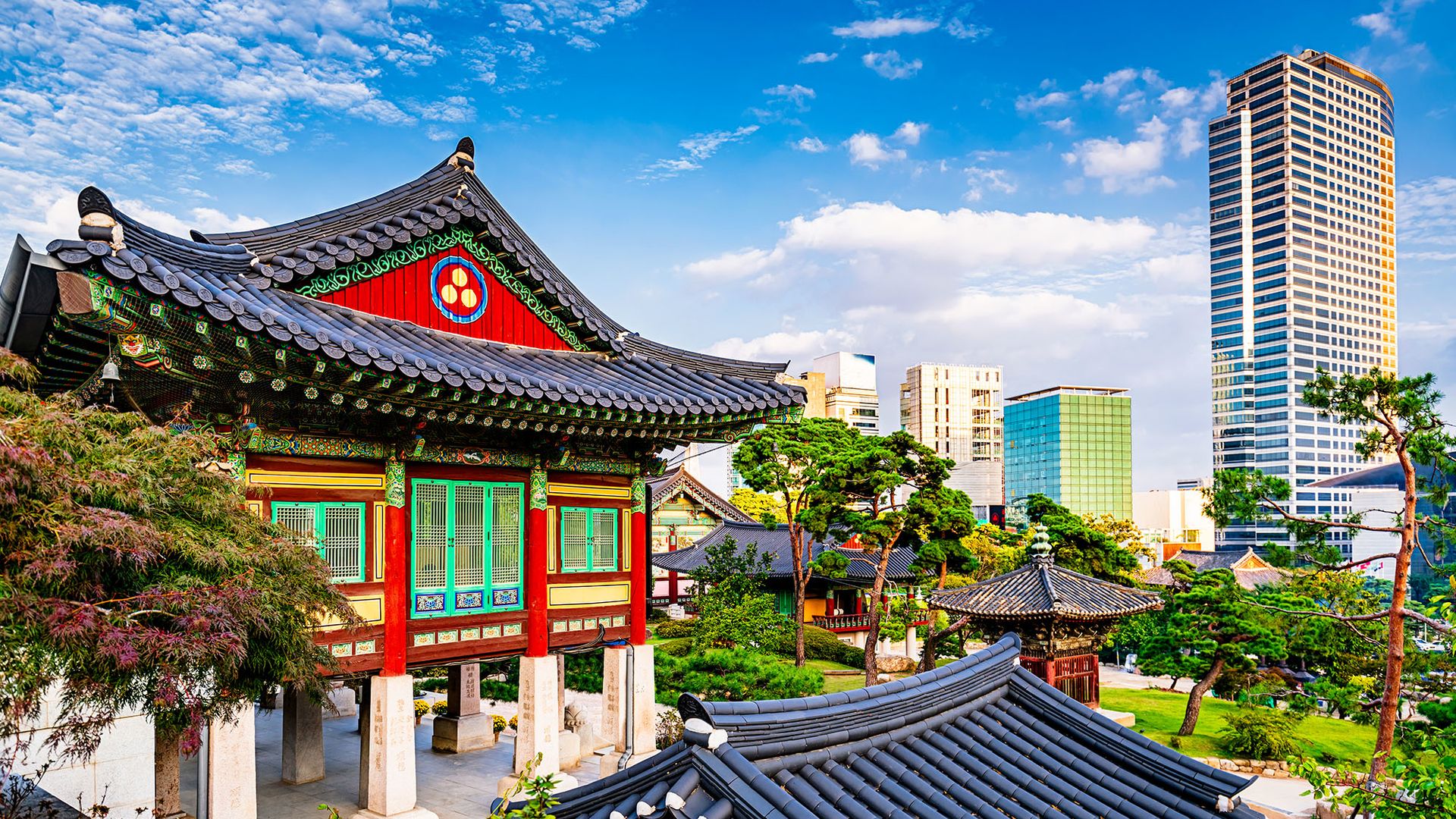 Summer in Seoul | Seoul | College Study Abroad | CIEE