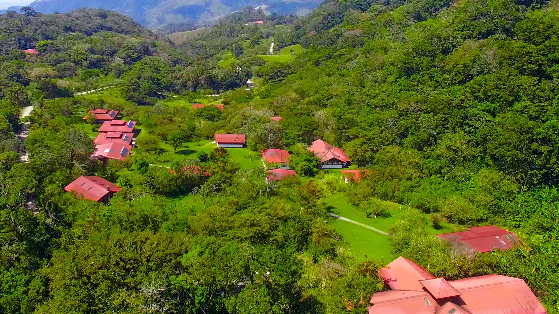 Semester in Monteverde | Monteverde | College Study Abroad | CIEE