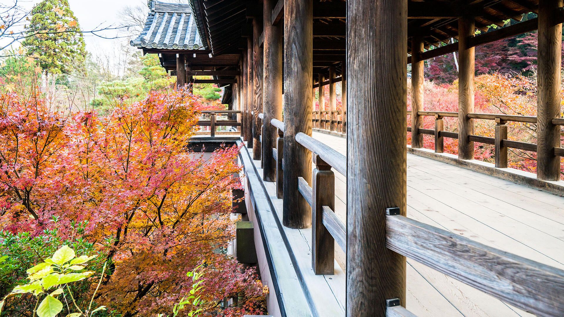 Semester Global Internship | Kyoto | College Study Abroad | CIEE