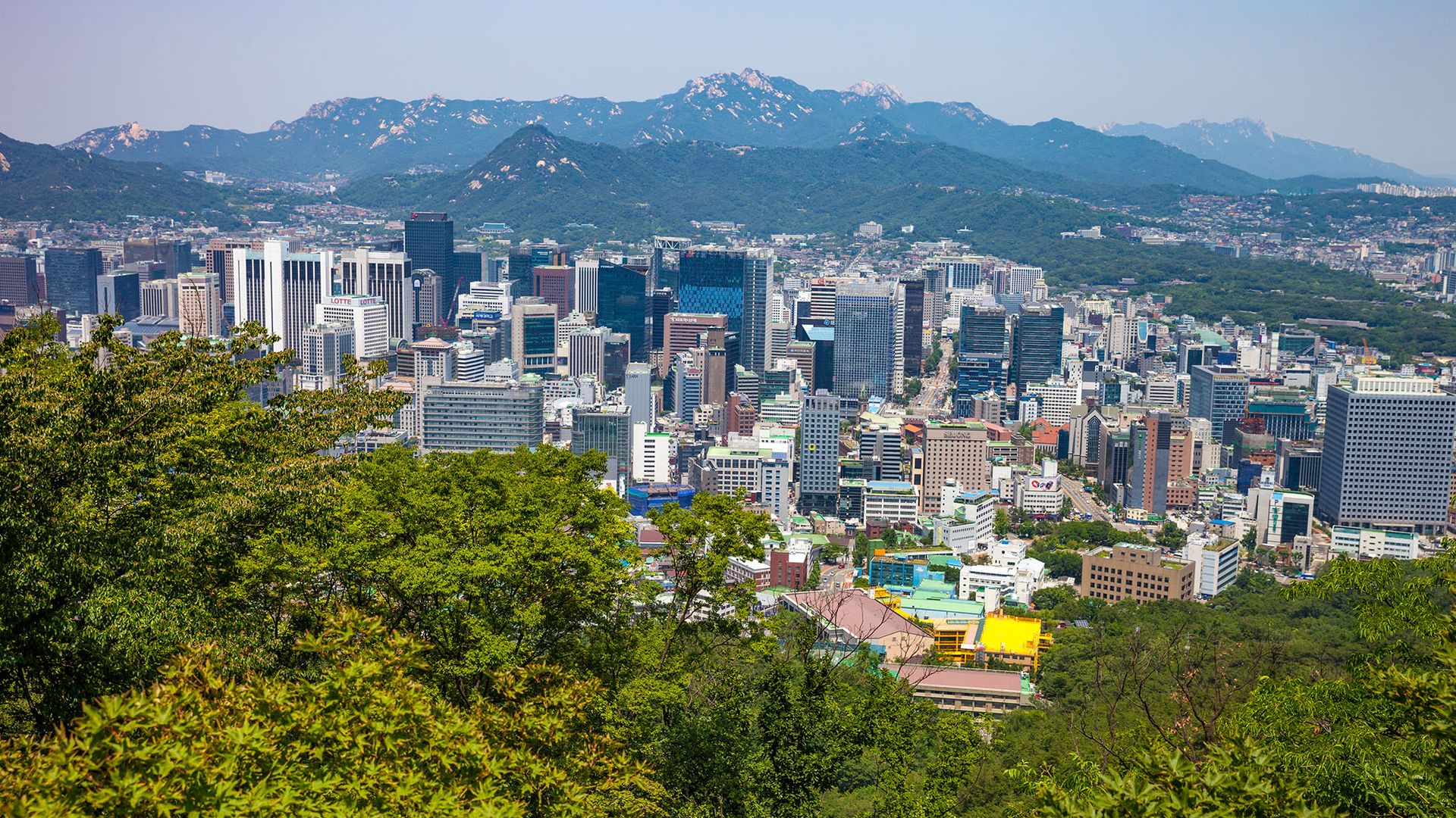 Semester Global Internship | Seoul | College Study Abroad | CIEE