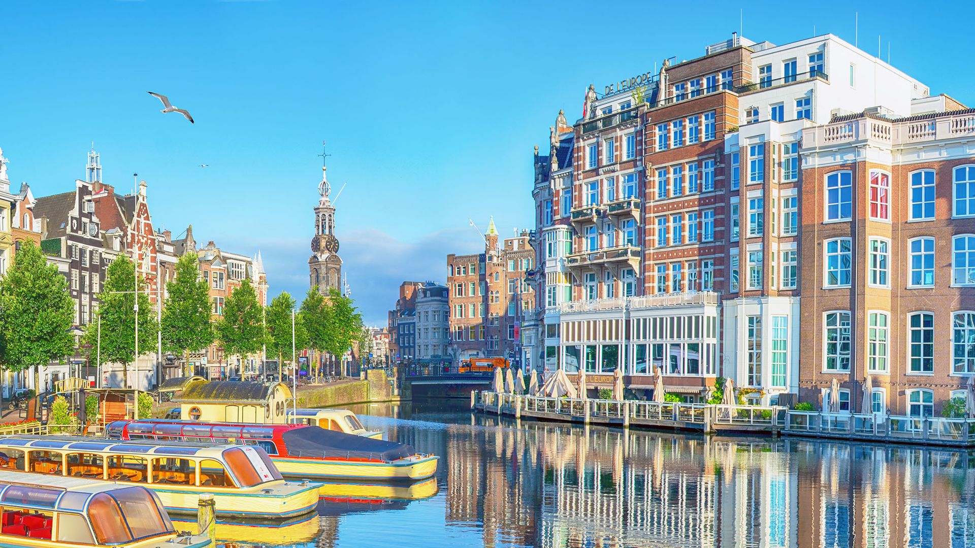 Semester in Amsterdam | Amsterdam | College Study Abroad | CIEE