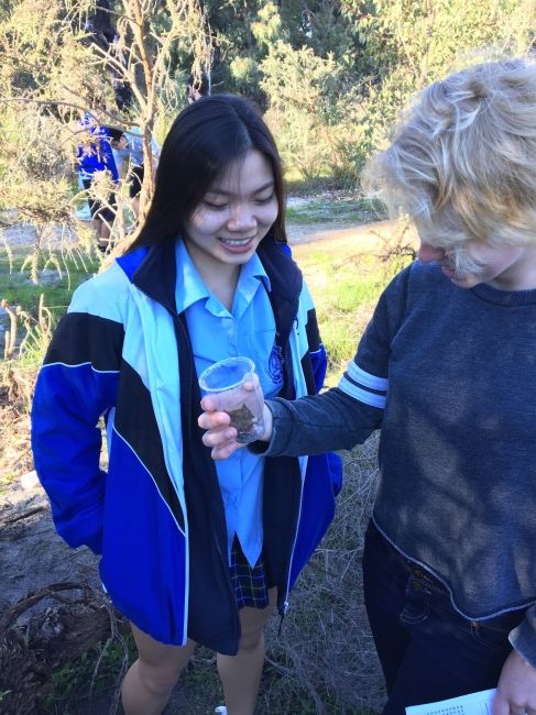 First Day of School at Rossmoyne Senior High | CIEE