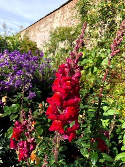 Rose Garden at Castle Howard | CIEE