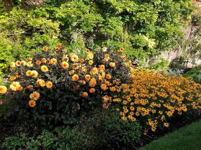 Rose Garden at Castle Howard | CIEE