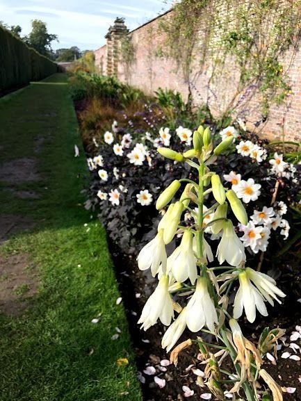 Rose Garden at Castle Howard | CIEE