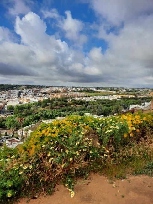 Exploring medieval castles in Sevilla | CIEE