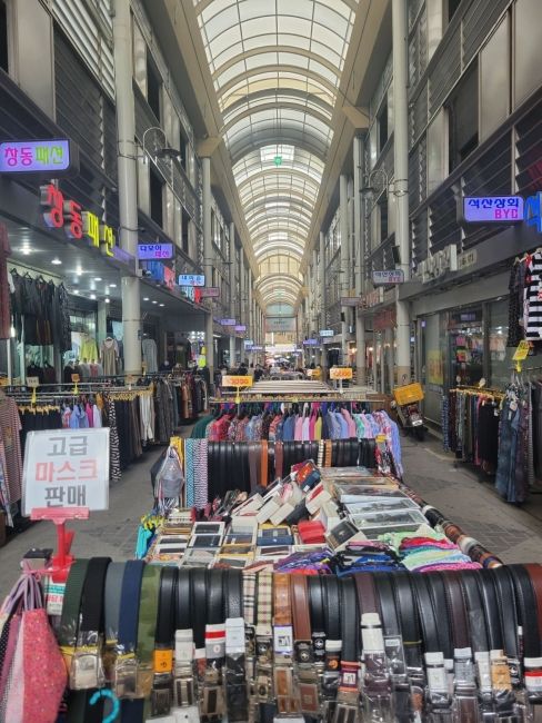 A Day Trip to Changwon, South Korea | CIEE