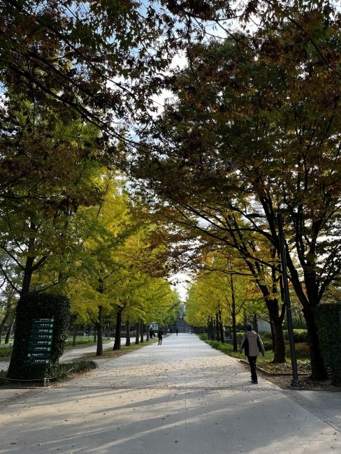 Seoul Forest & its Wonders | CIEE