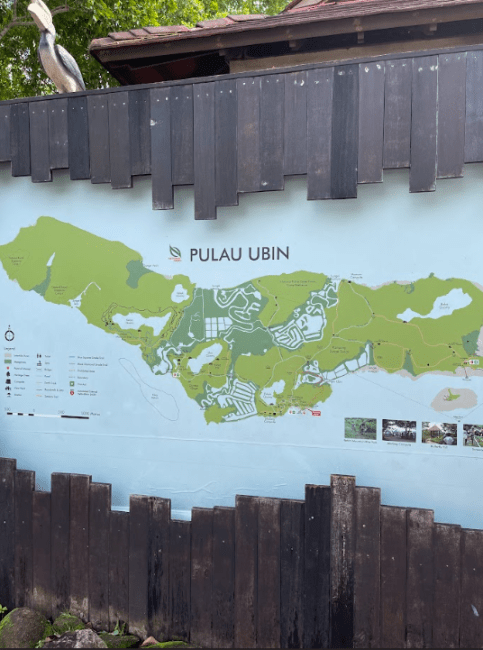 Day Trip to Pulau Ubin Island | CIEE