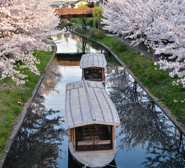 Study Abroad in Kyoto | CIEE