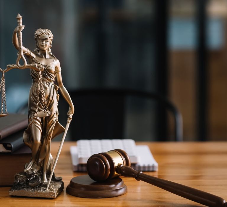 Political Science + Law | CIEE