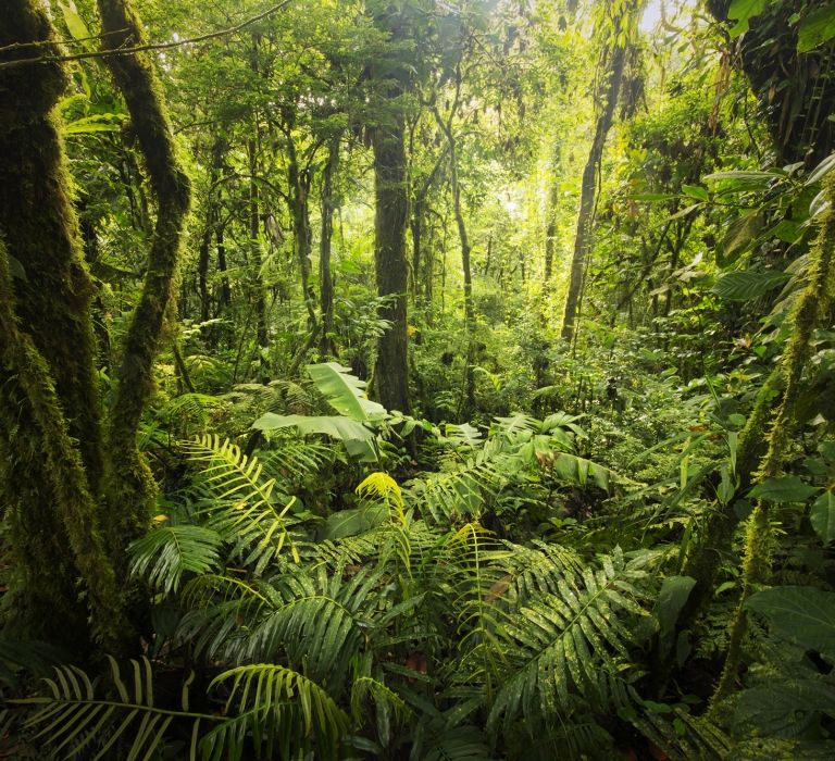 Teaching English in Latin America | CIEE