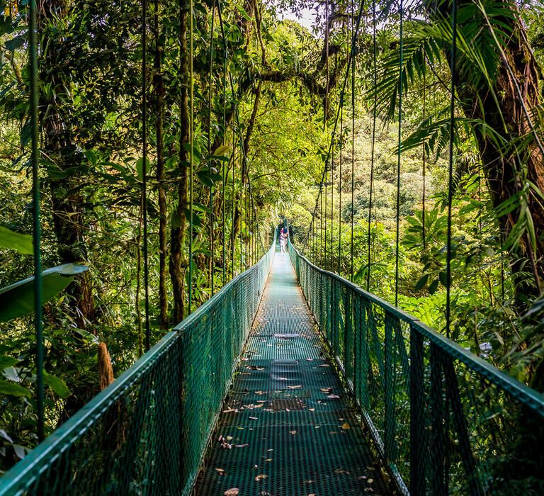 College First Year Abroad in Monteverde | Monteverde | First Year Study ...