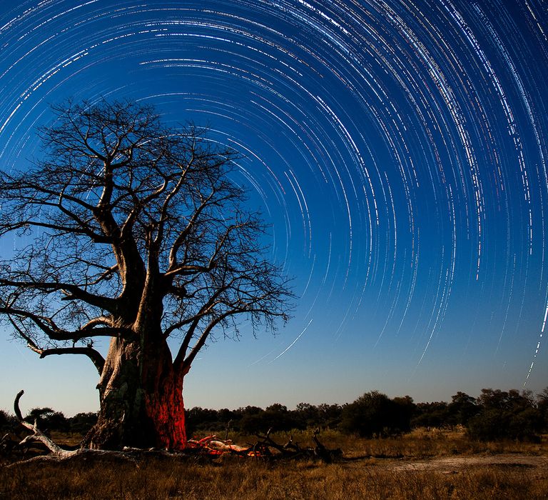 Semester in Gaborone | Gaborone | College Study Abroad | CIEE