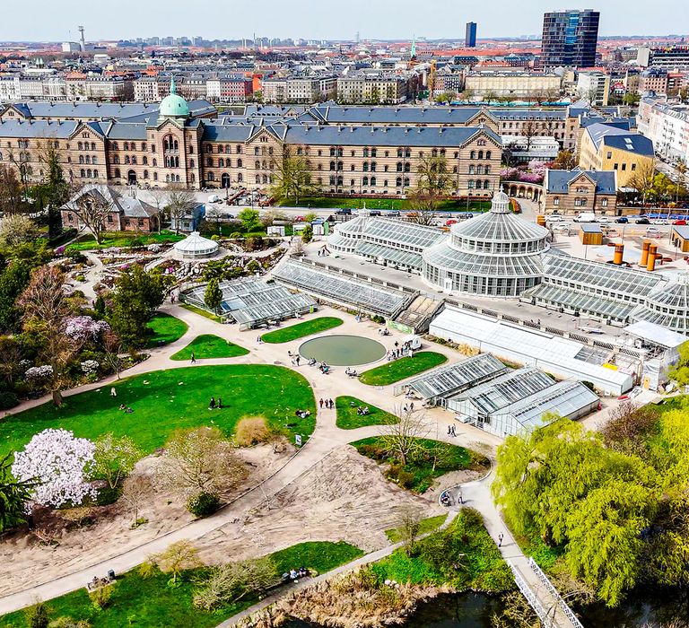 Semester in Copenhagen | Copenhagen | College Study Abroad | CIEE