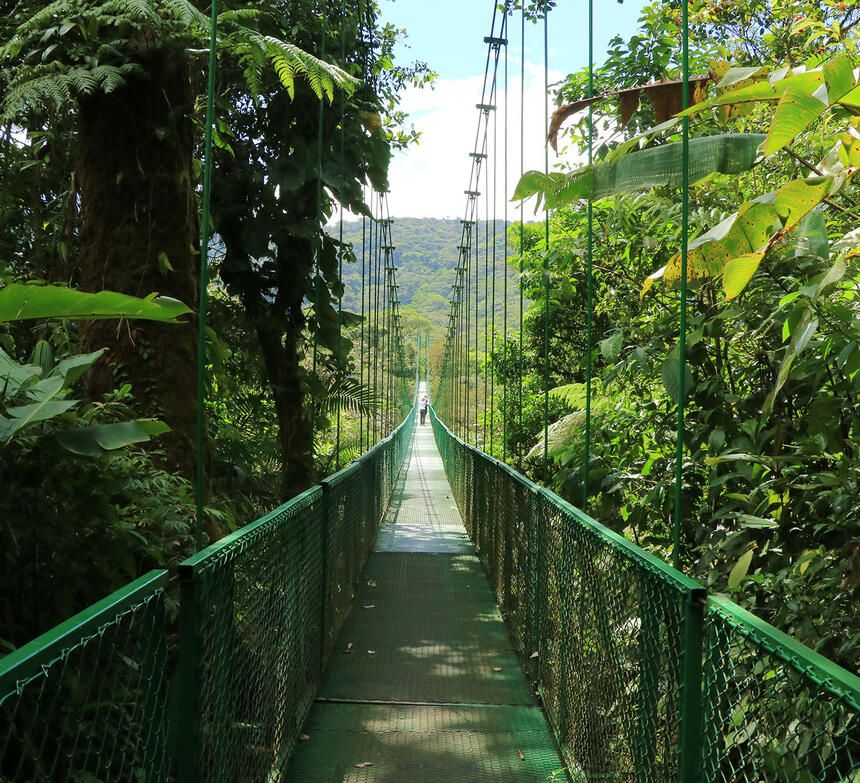 Study Abroad in Monteverde | CIEE