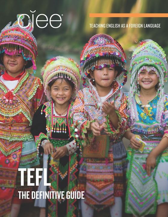 Thank You for Downloading the Definitive Guide! | CIEE